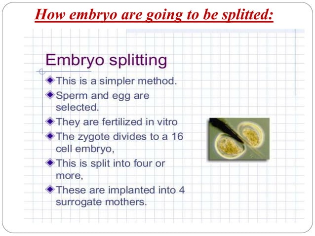 Embryo splitting | PPTX