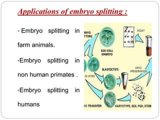 Embryo splitting | PPTX