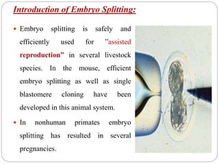 Embryo splitting | PPT