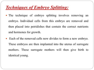 Embryo splitting | PPTX