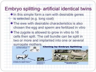 Artificial Embryo Twinning Process