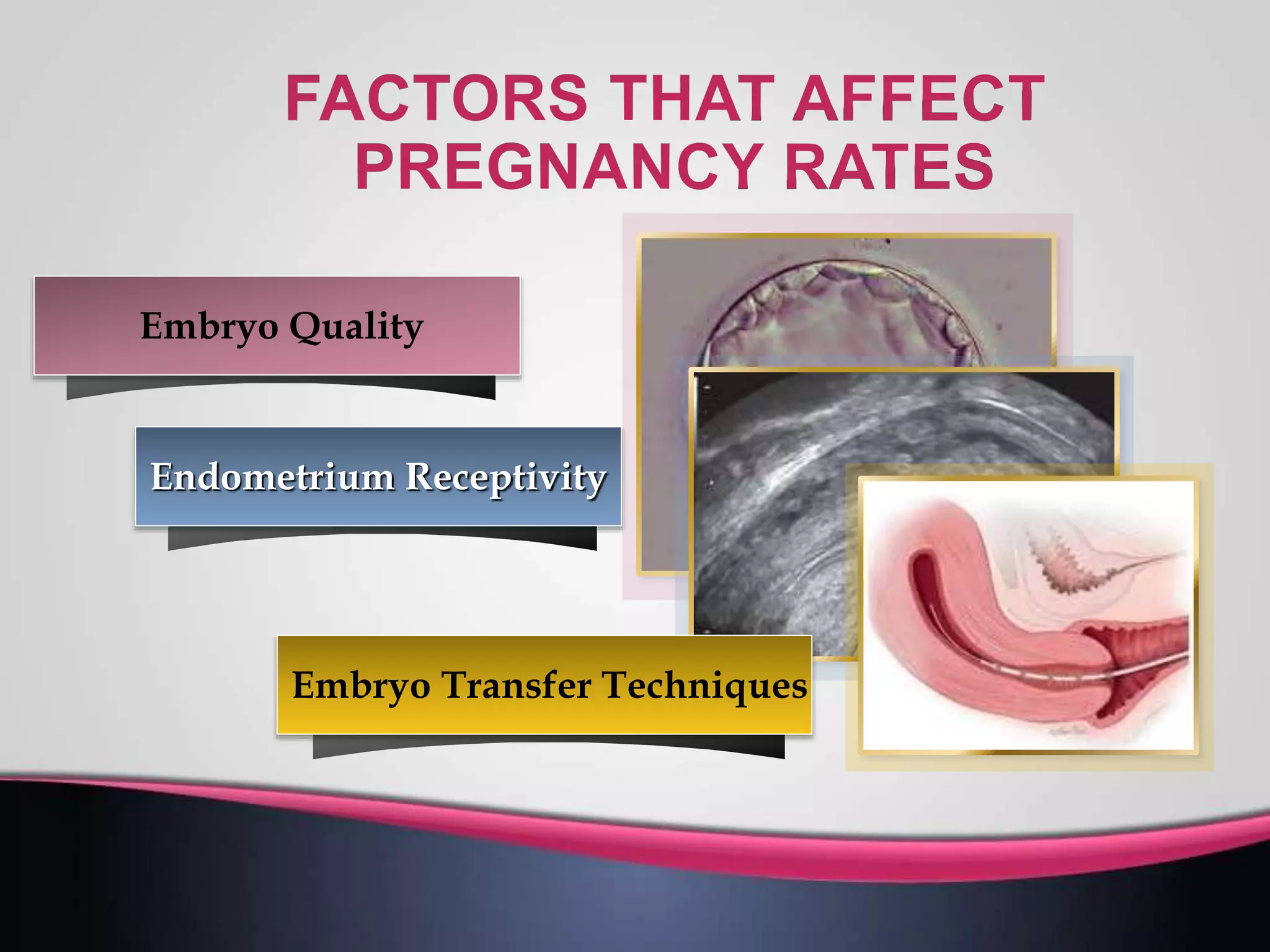 Embryo transfer | PPT