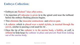 Embryo transfer and infertility management | PPT