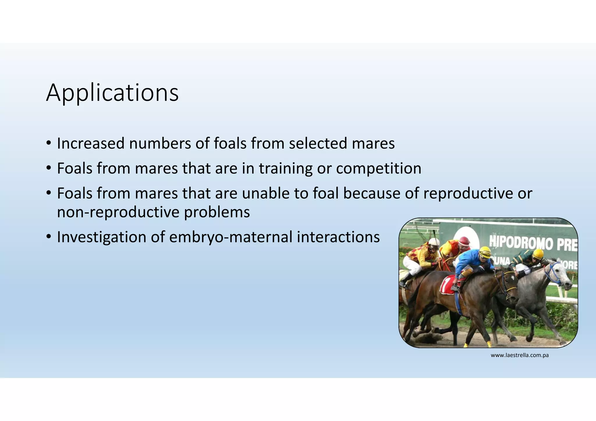 Equine embryo transfer and other techniques Dr Jose Len | PDF ...