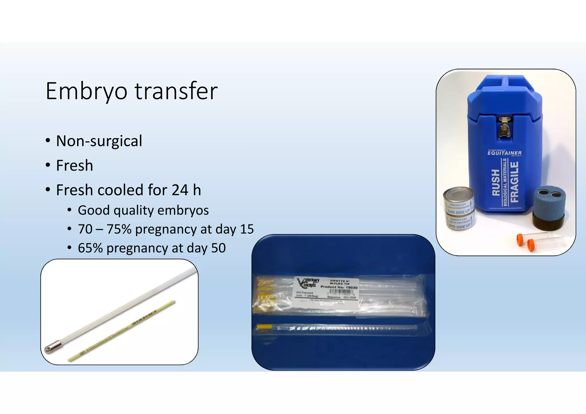 Equine embryo transfer and other techniques Dr Jose Len | PDF ...