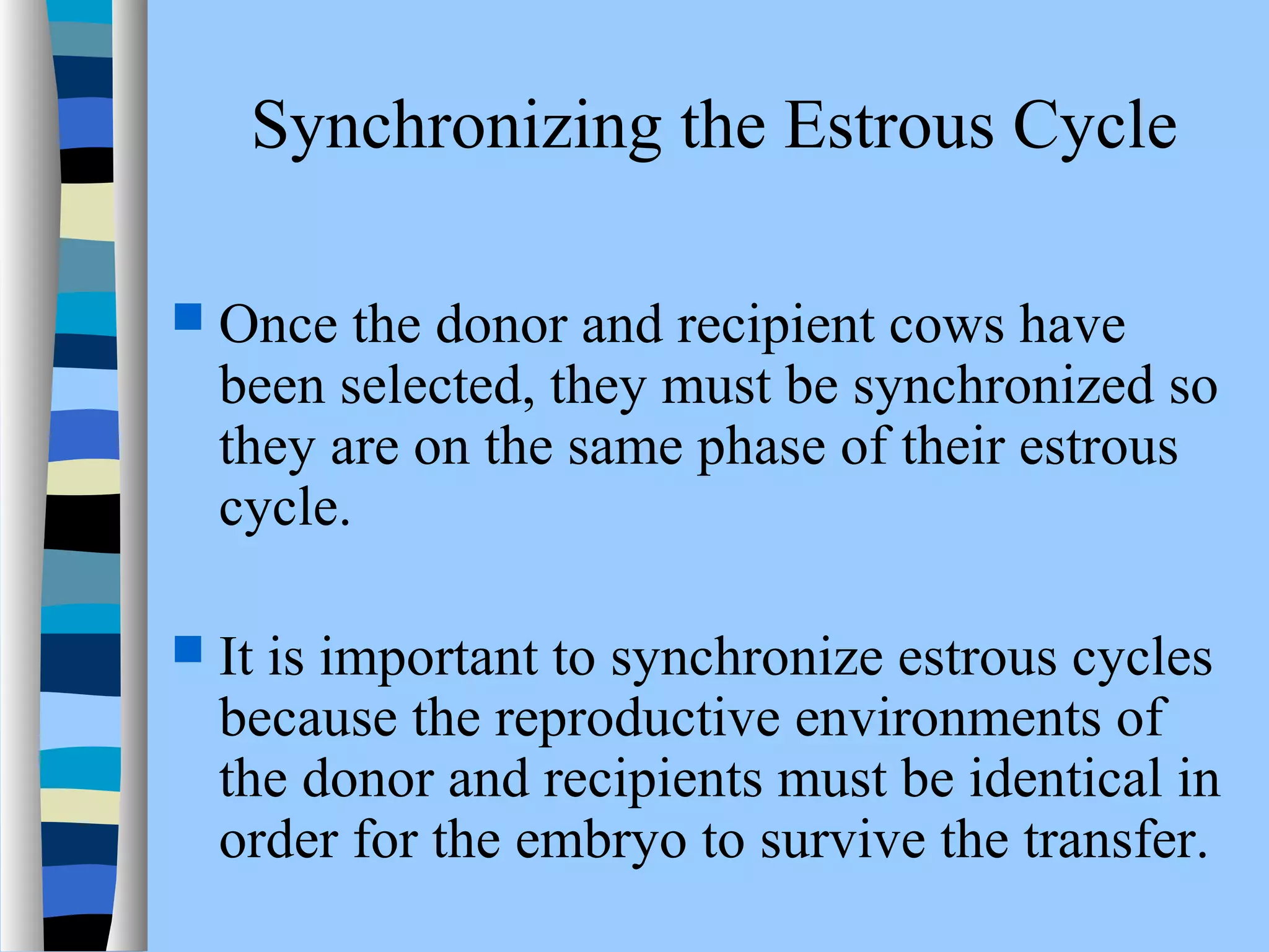 Embryo transfer in_cattle | PPT