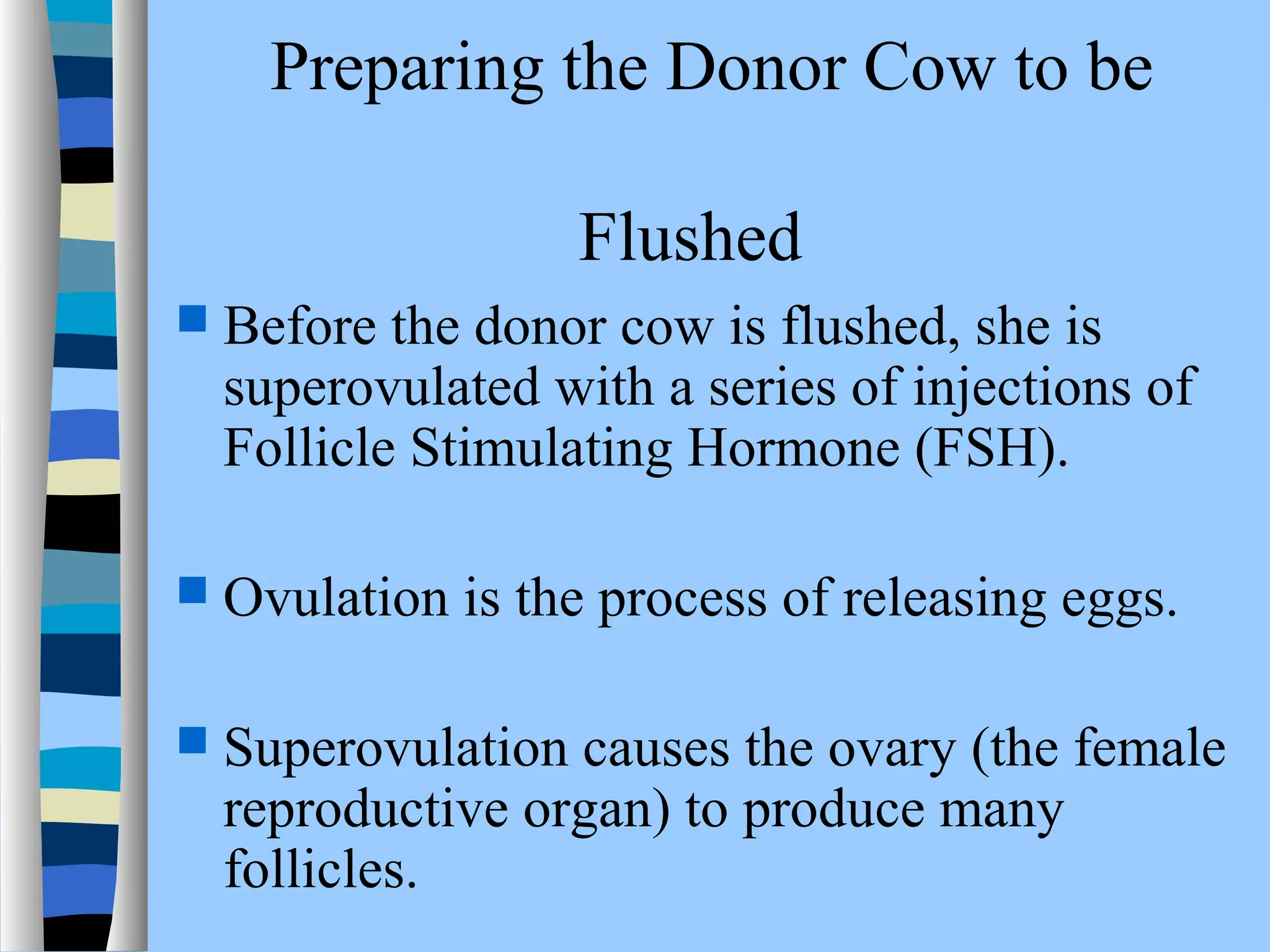Embryo transfer in_cattle | PPT