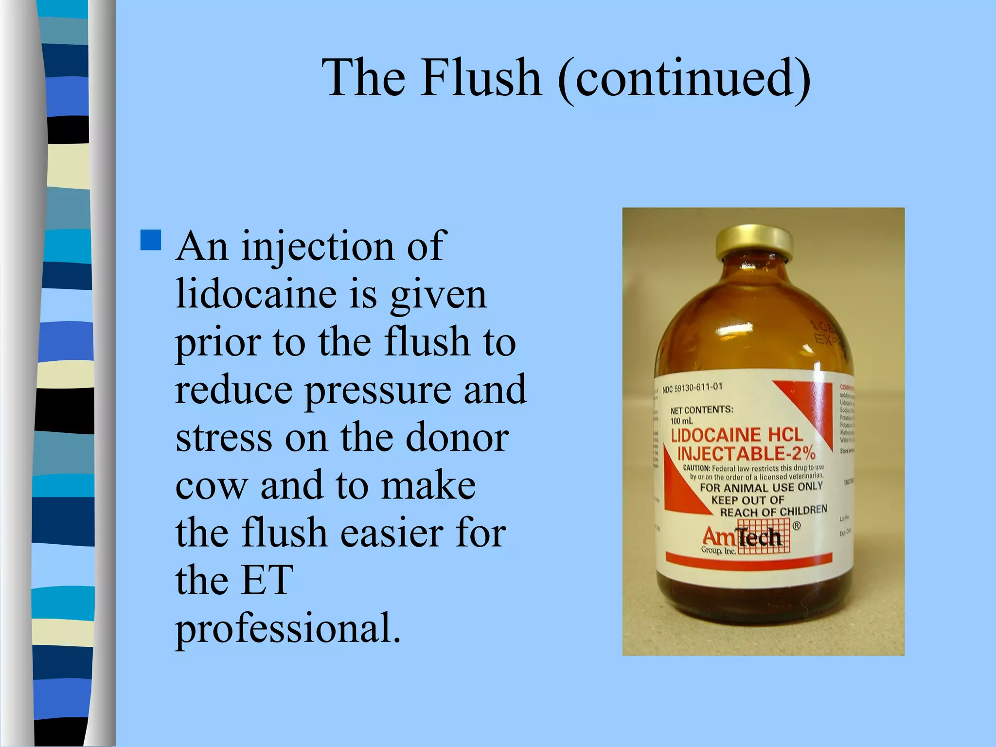 Embryo transfer in_cattle | PPT