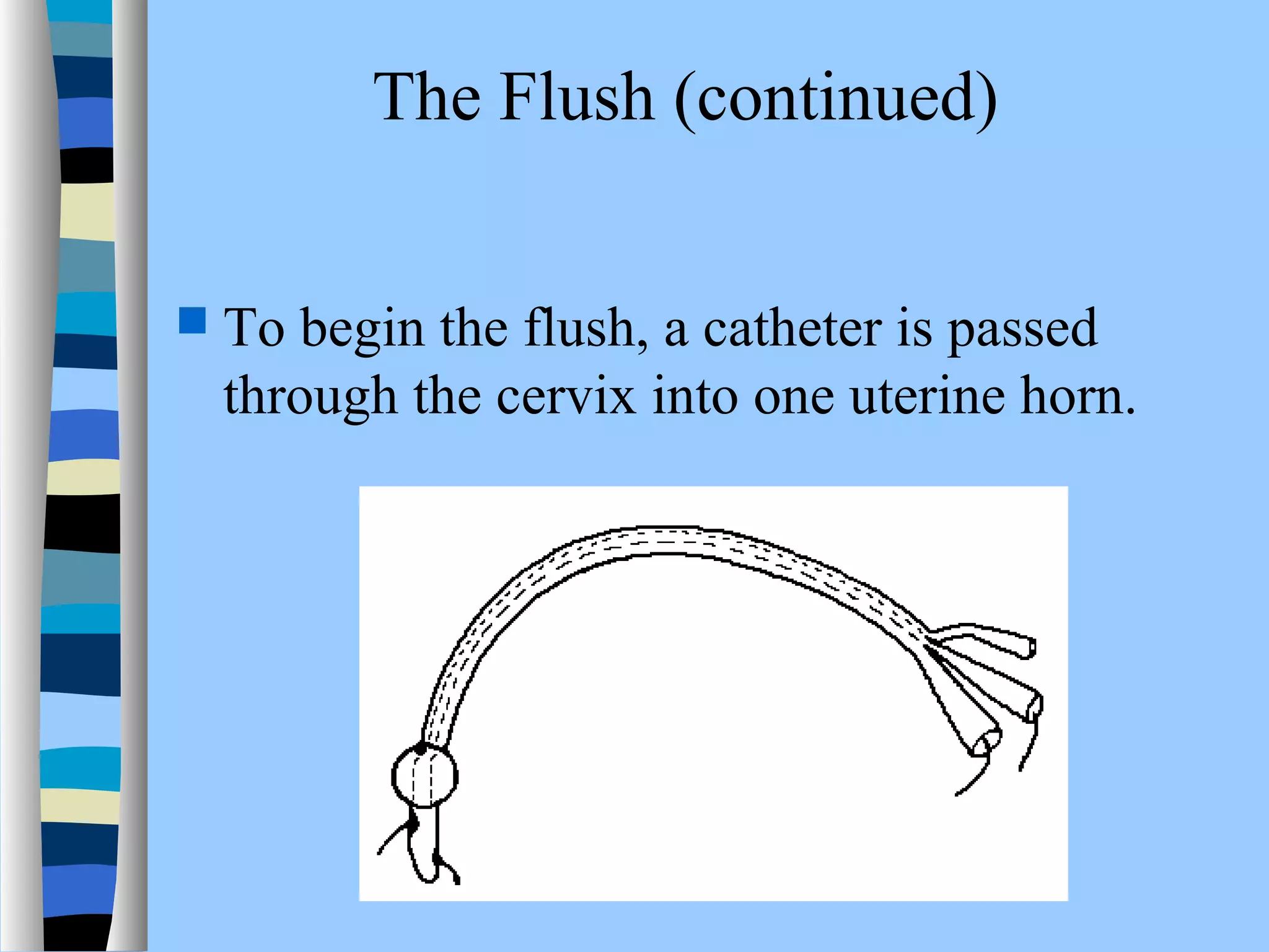Embryo transfer in_cattle | PPT