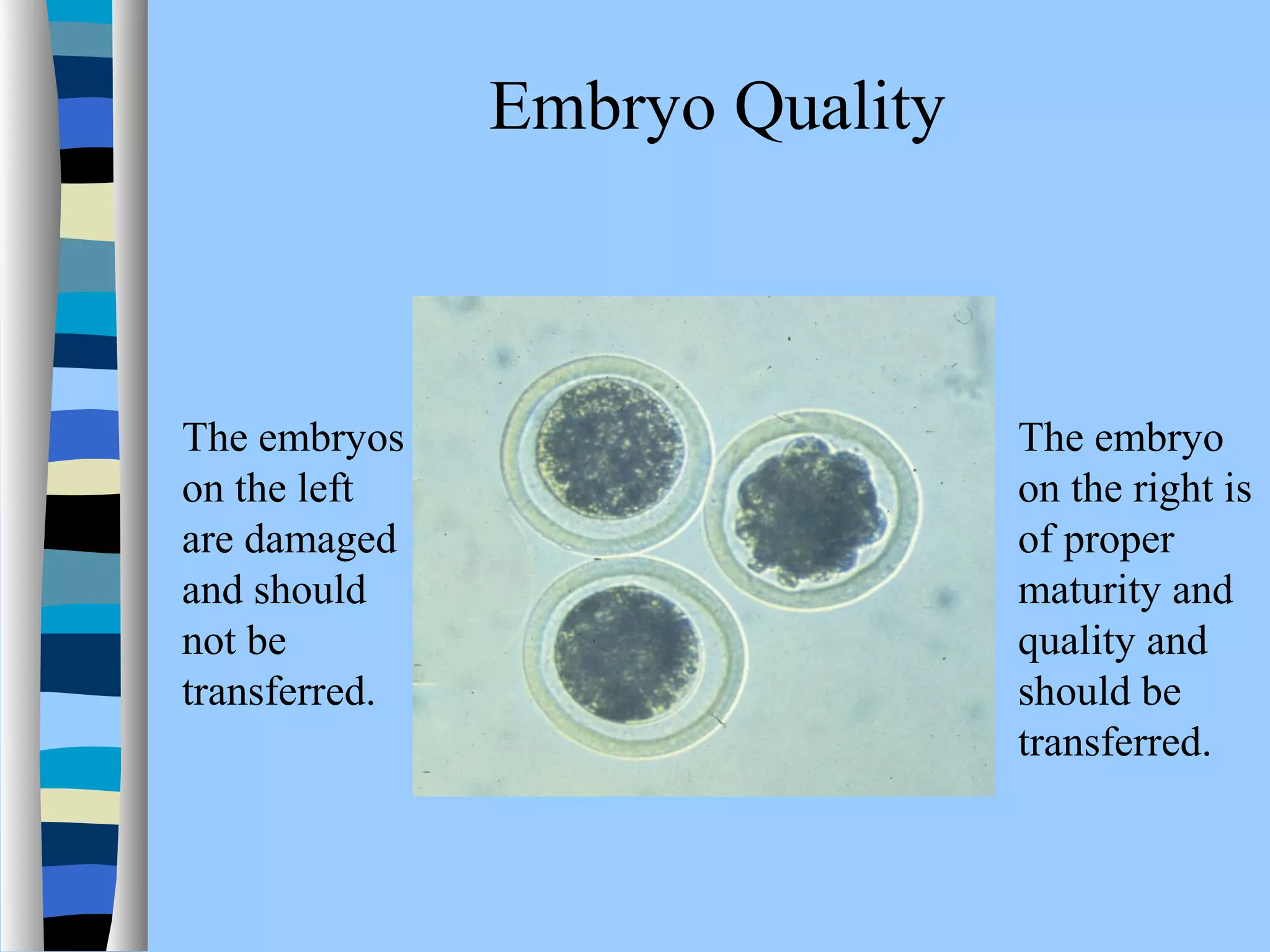 Embryo transfer in_cattle | PPT