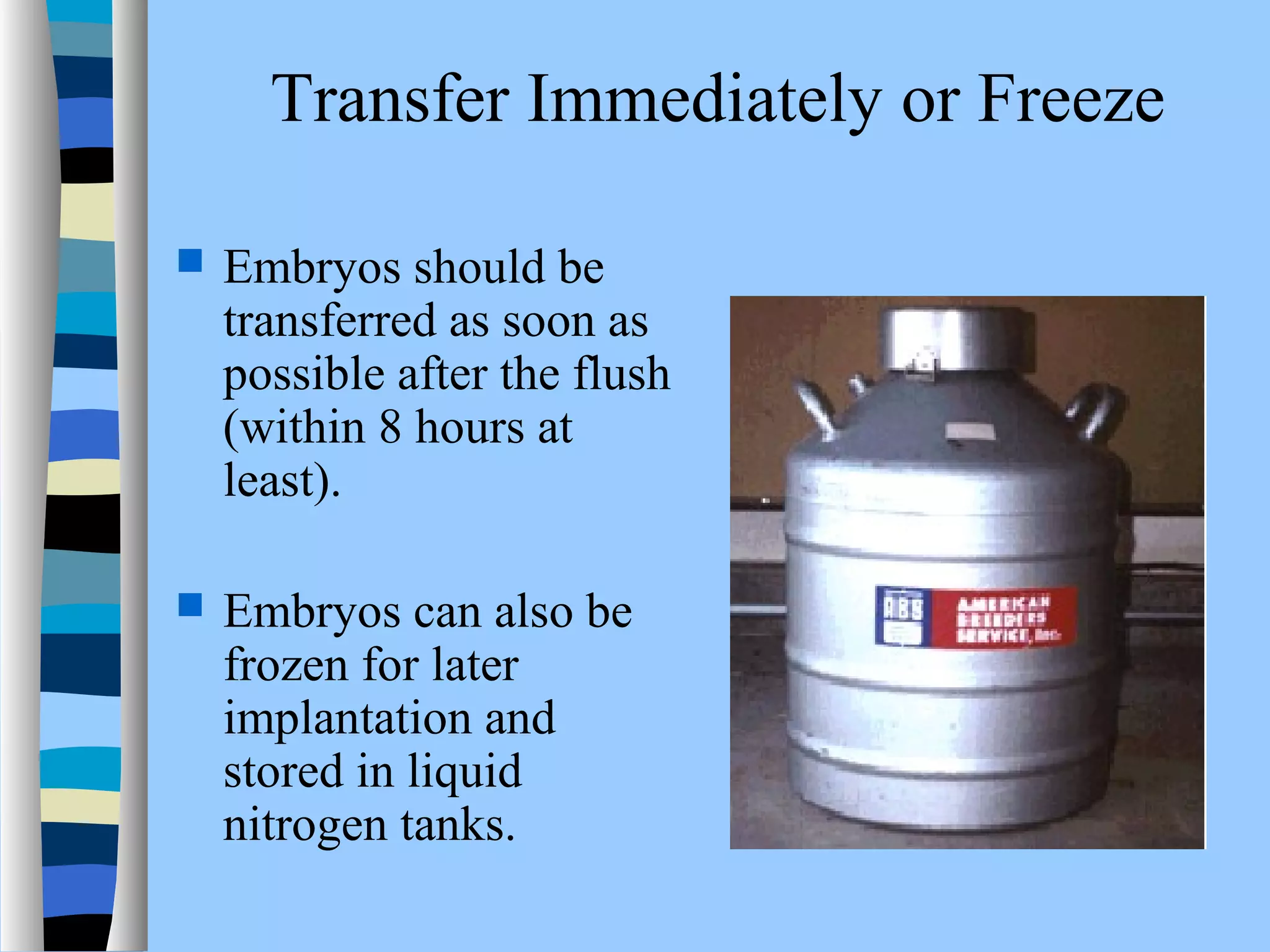 Embryo transfer in_cattle | PPT