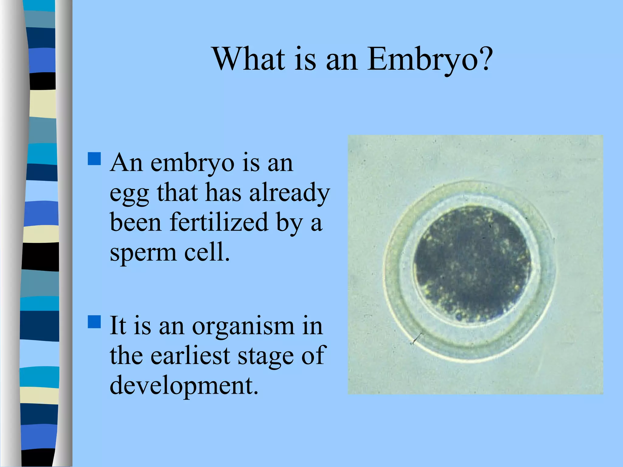 Embryo transfer in_cattle | PPT