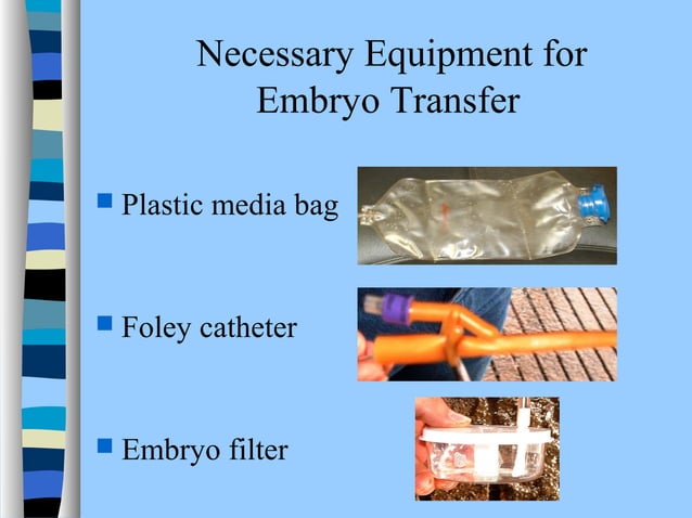 Embryo transfer in_cattle | PPT