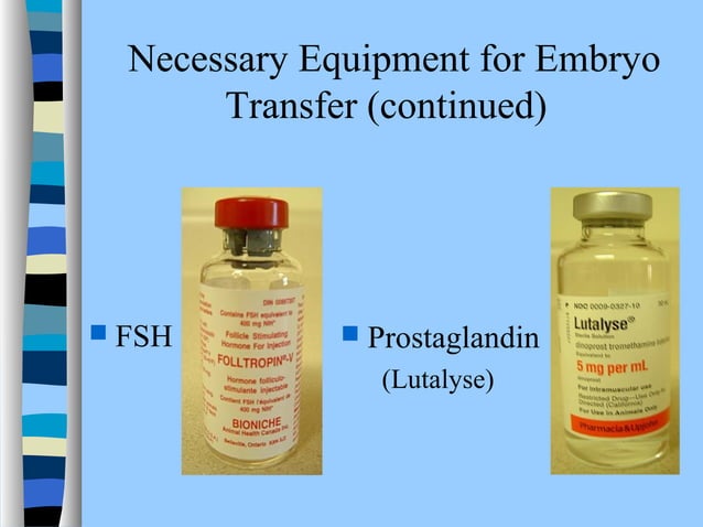Embryo Transfer Incattle Ppt