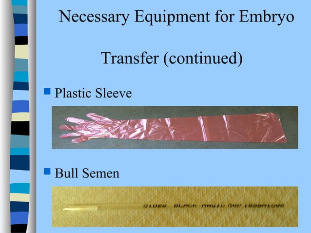 Embryo transfer in_cattle | PPT