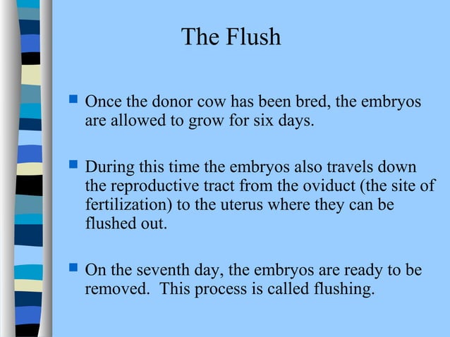Embryo transfer in_cattle | PPT