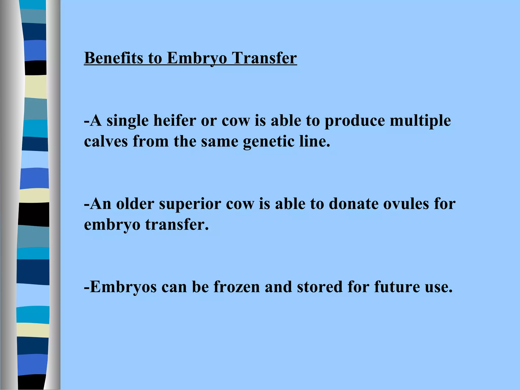 複製 Embryotransferincattle (1) | PPT