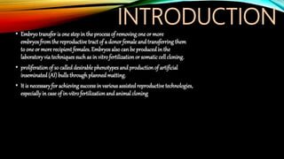 Embryo transfer in cattle and its applications | PPTX
