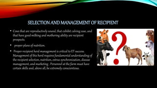 Embryo transfer in cattle and its applications | PPTX