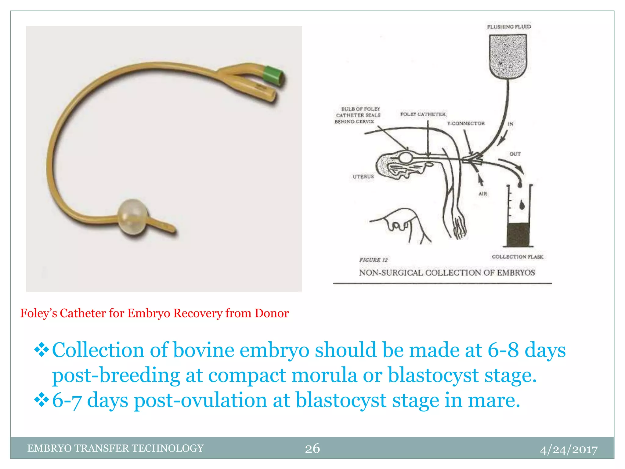 Embryo transfer lecture 7 | PPTX
