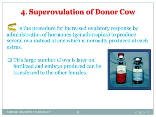 Embryo transfer lecture 7 | PPTX