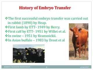Animal Embryo Transfer