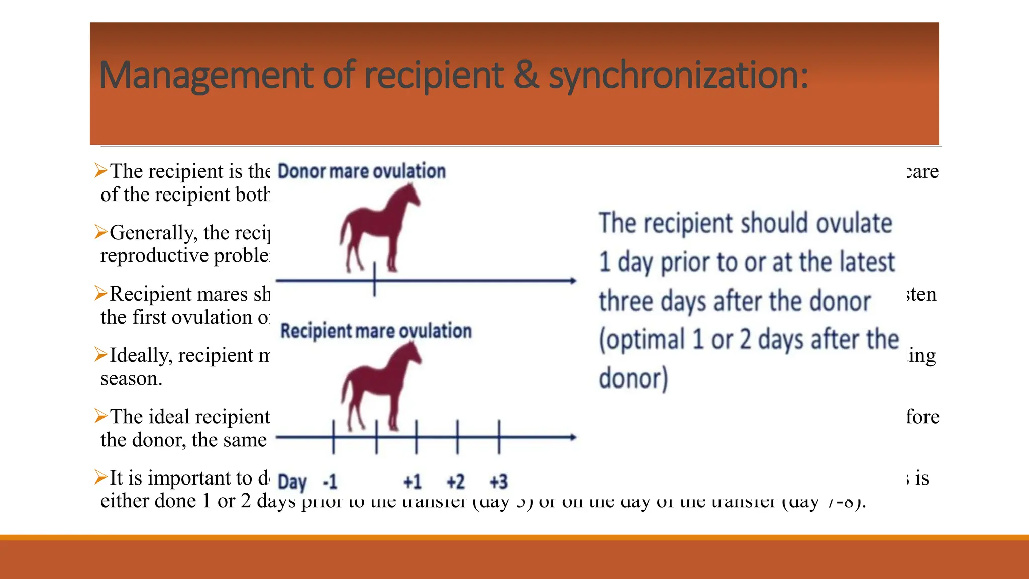 Embryo transfer techniques & difficulties at mare.pptx