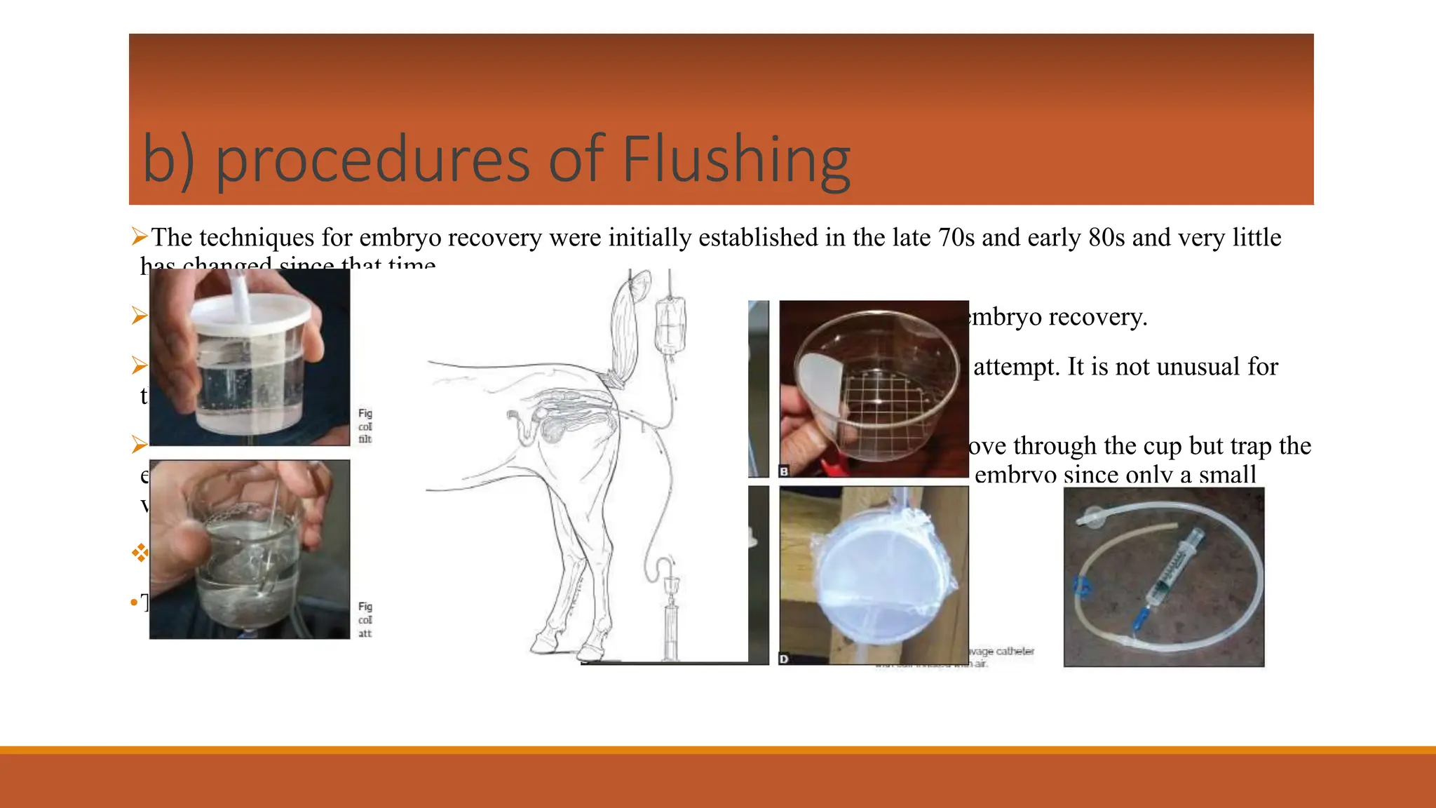 Embryo transfer techniques & difficulties at mare.pptx