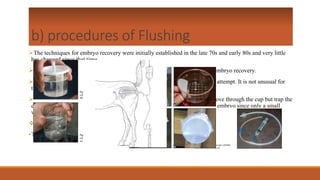 Embryo transfer techniques & difficulties at mare.pptx