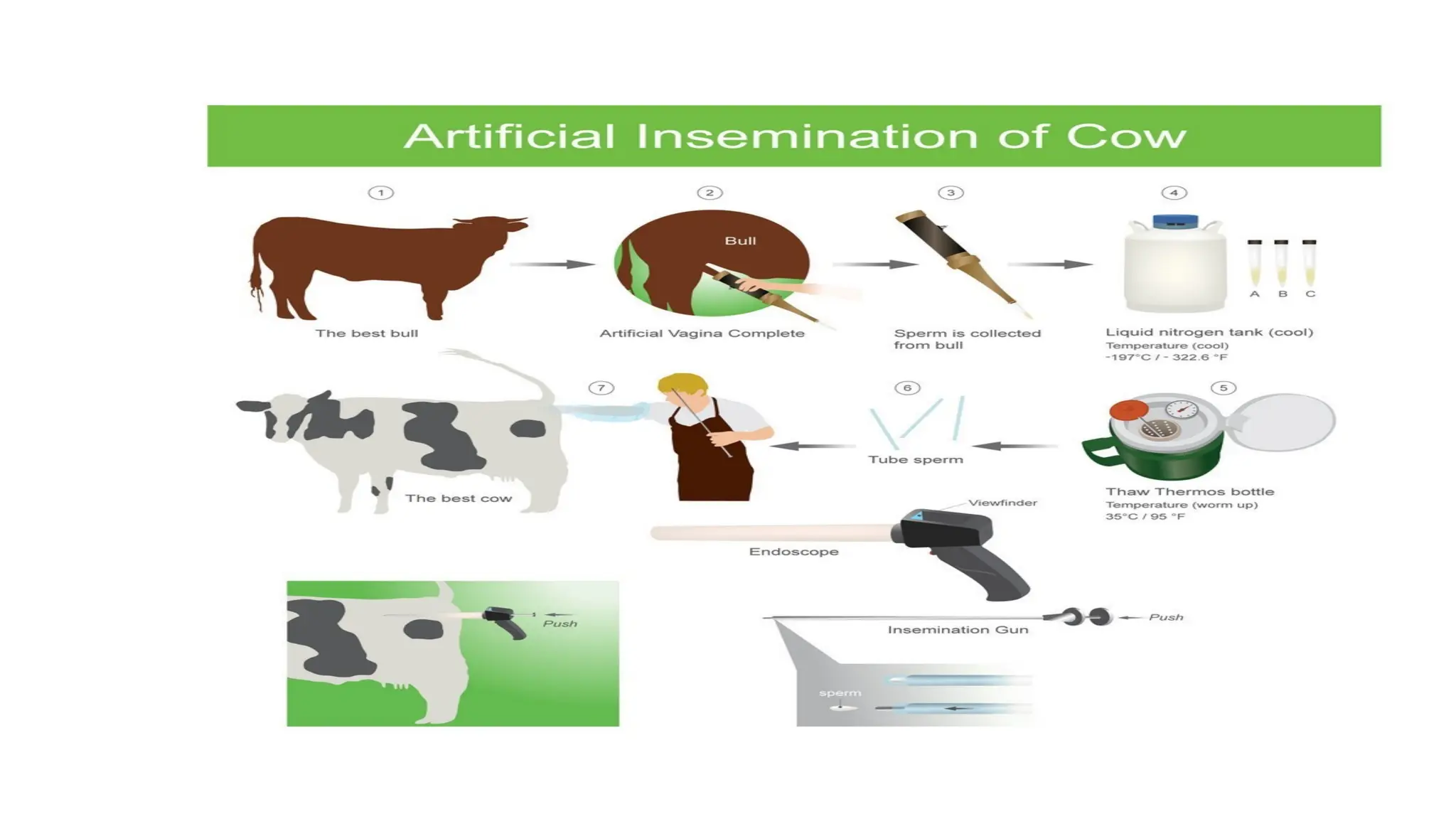 EMBRYO TRANSFER TECHNOLOGY, Its types and procedure. | PPTX