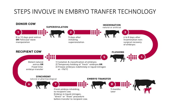 EMBRYO TRANSFER TECHNOLOGY, Its types and procedure. | PPTX