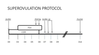 EMBRYO TRANSFER TECHNOLOGY, Its types and procedure. | PPTX