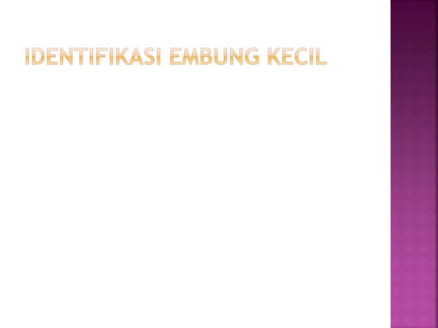 embung kecil.pptx
