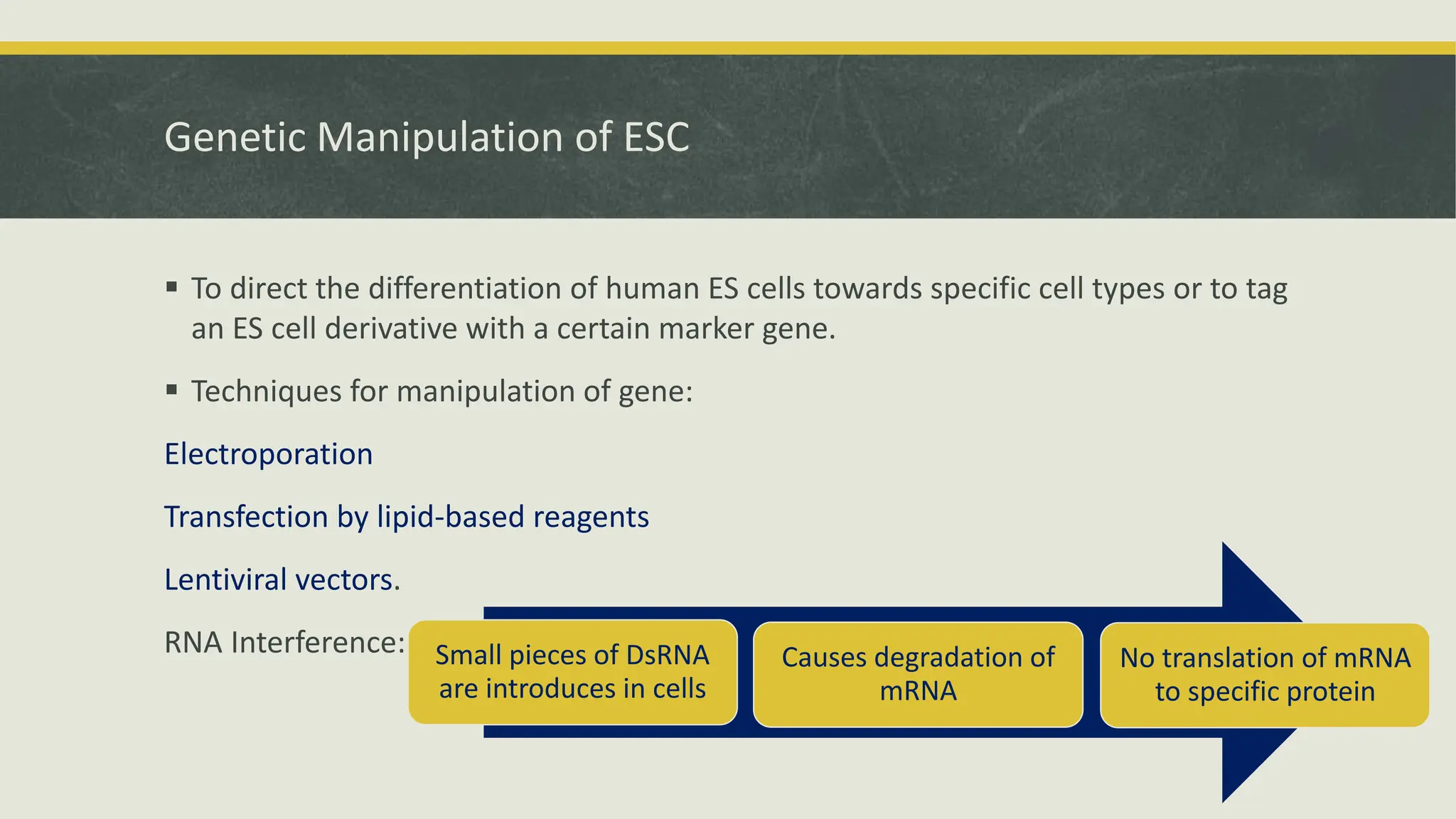 Embyonal Stem Cells - Properties and Classification | PPTX