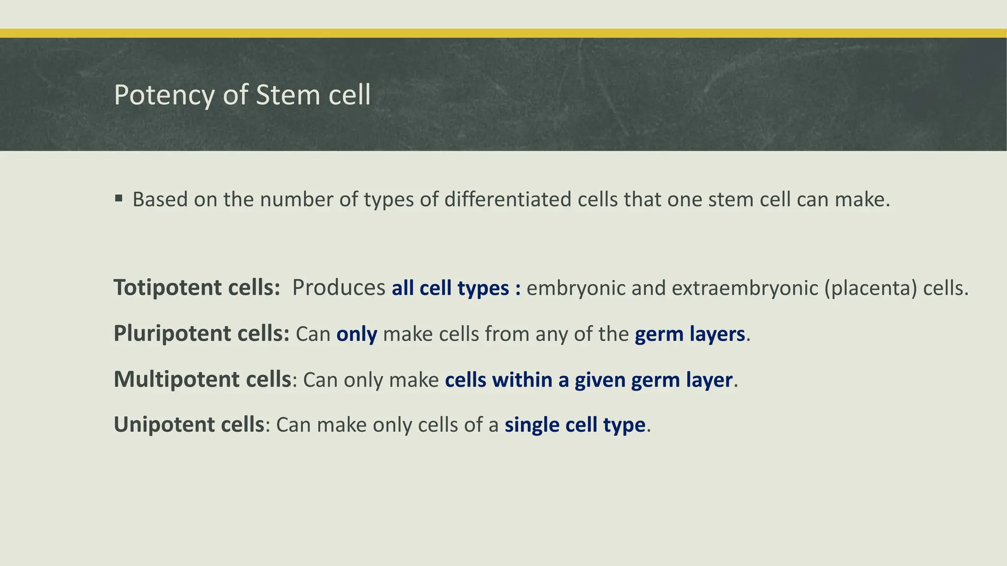 Embyonal Stem Cells - Properties and Classification | PPTX