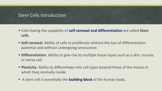 Embyonal Stem Cells - Properties and Classification | PPTX