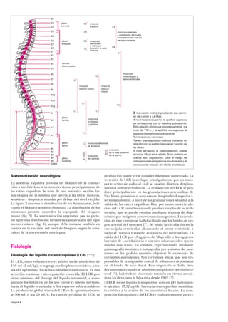 EMQ.Anestesia Raquidea | PDF