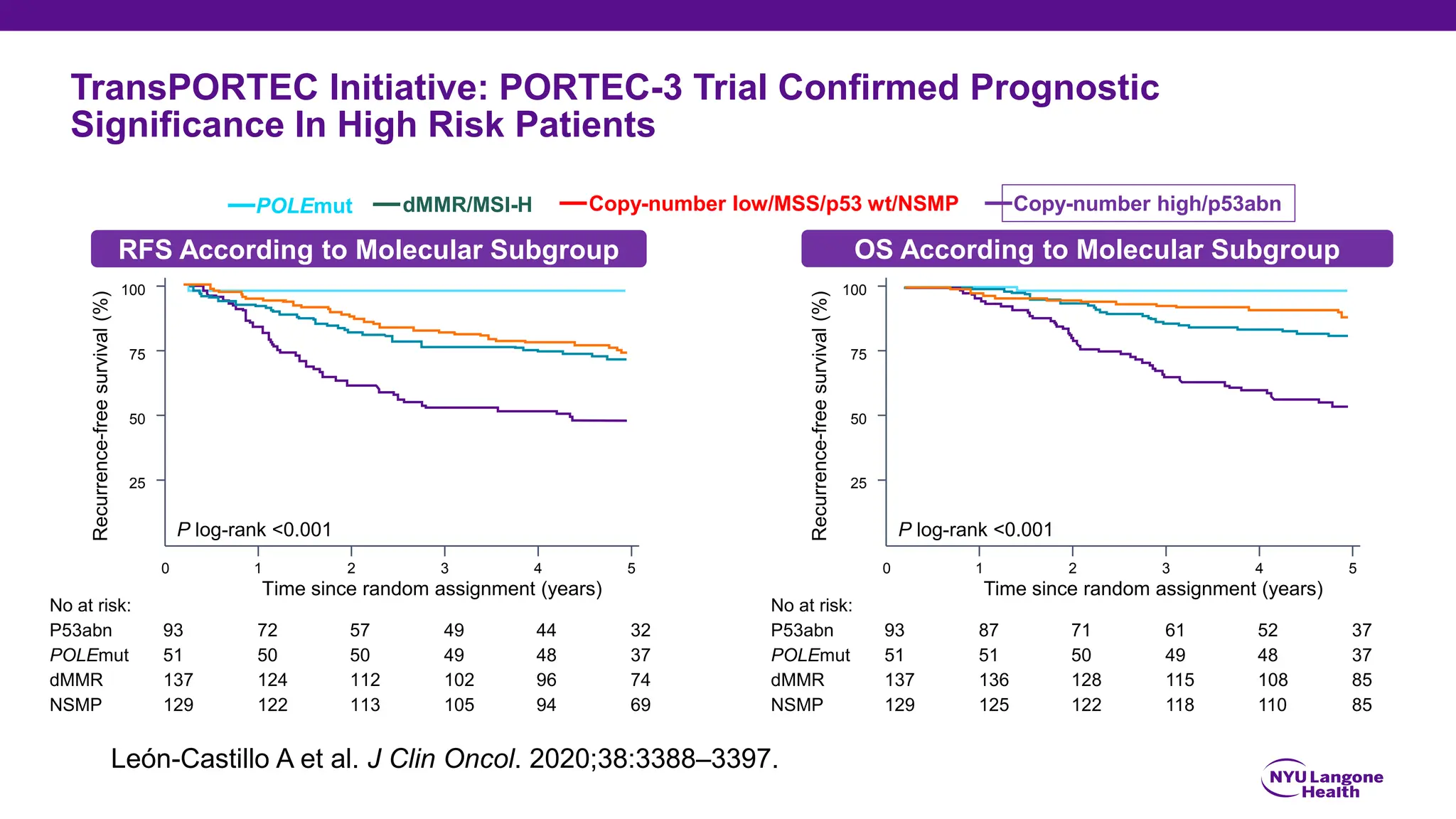 Understanding Uterine Cancer Treatment Options | PPTX