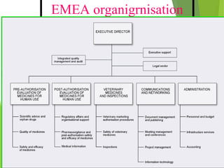 Emea | PPT