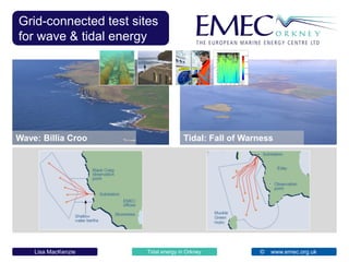 Painel 1 – Tidal Energy in Orkney | PDF