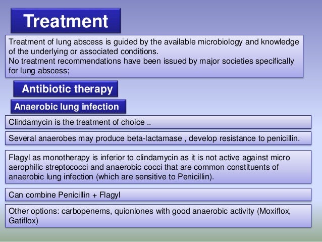 Lung Abscess 2010