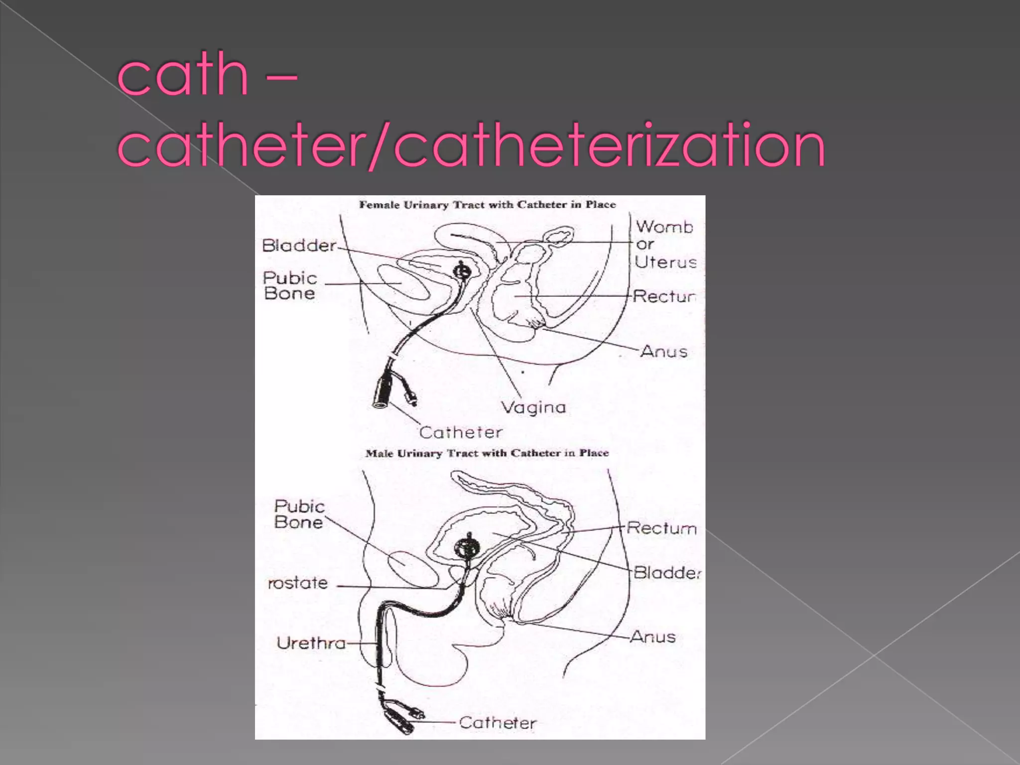 Chapter 9 Presentation -Veronica Martinez | PPTX | Reproductive Health | Diseases and Conditions