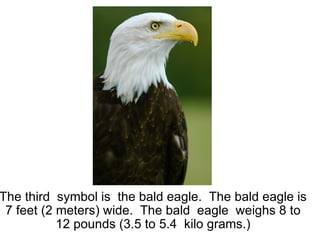 Symbols of the United States - Emely | PPT