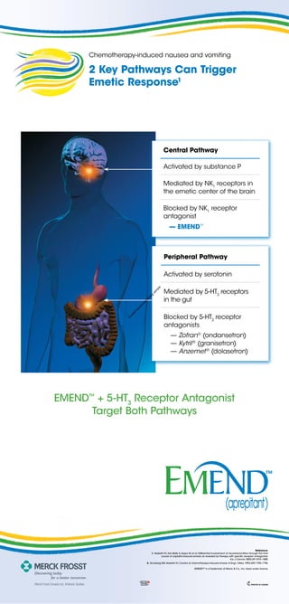 Emend Detail Aid Poster Work Sample Crystal Kaczkowski Watermarked | PDF