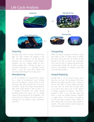 Emerald Grow Business Plan | PDF