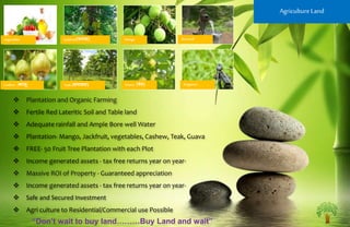 Emerald Park,Roha | Agriculture Land Project | | PPT