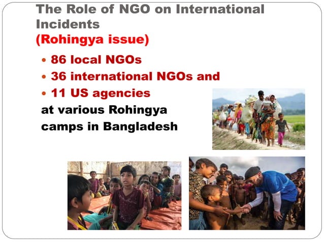Emergence of ngo's and their role in development | PPT
