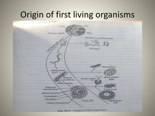 EMERGENCE OF THE FIRST LIVING CELL [Autosaved].pptx