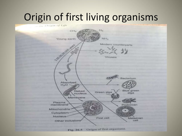 EMERGENCE OF THE FIRST LIVING CELL [Autosaved].pptx