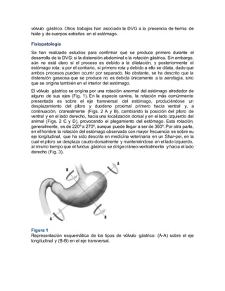 Emergencias en veterinaria | DOCX